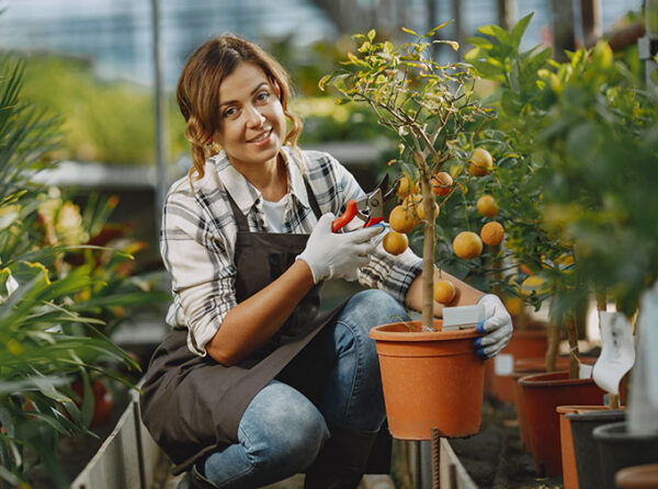 About - Plusrite USA